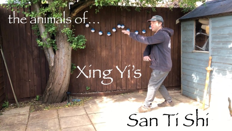 The Animals of Xing Yi’s San Ti Shi | The Tai Chi Notebook