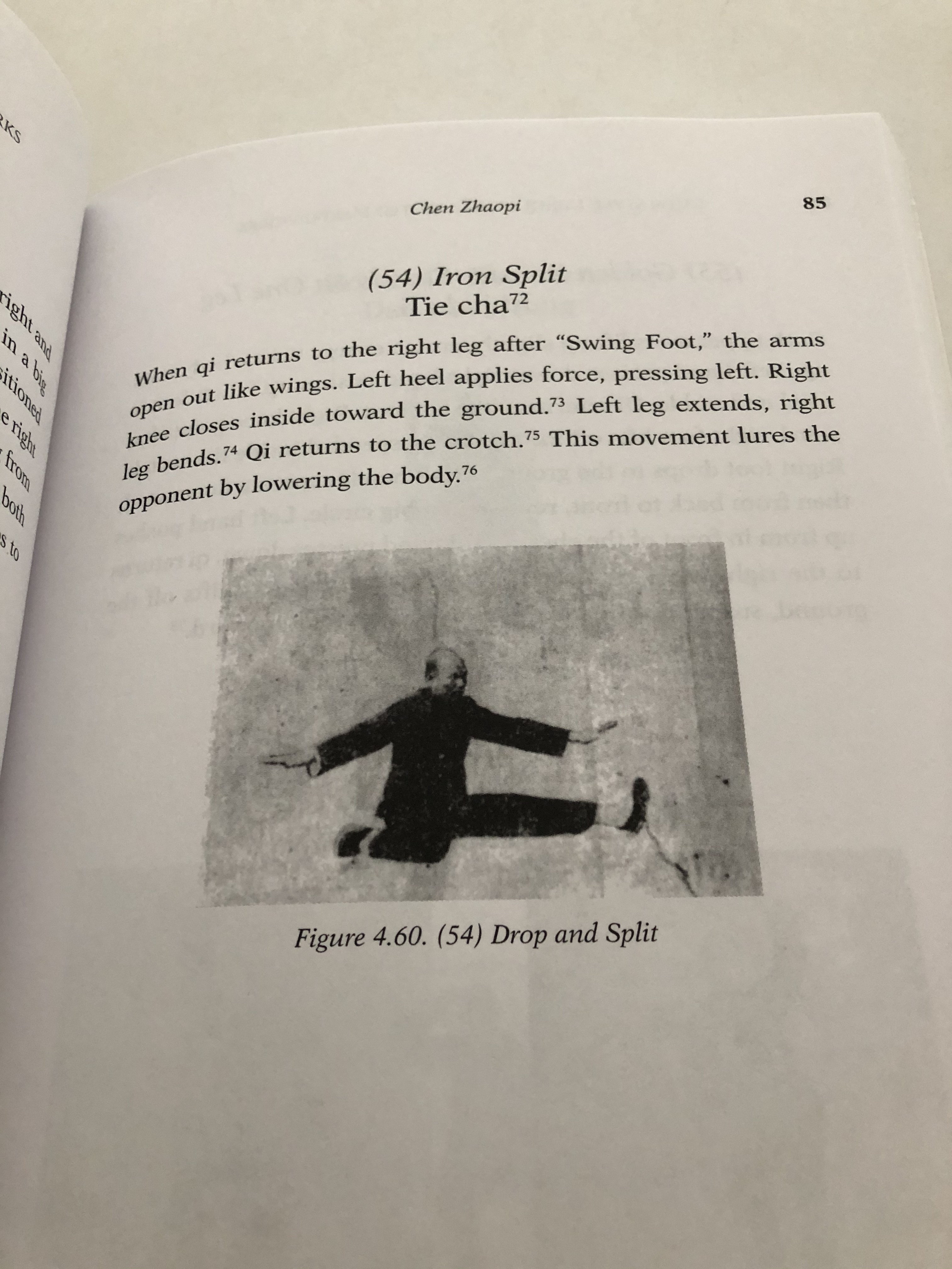 Review: Chen Style Taijiquan Collected Masterworks, by Mark Chen | The ...