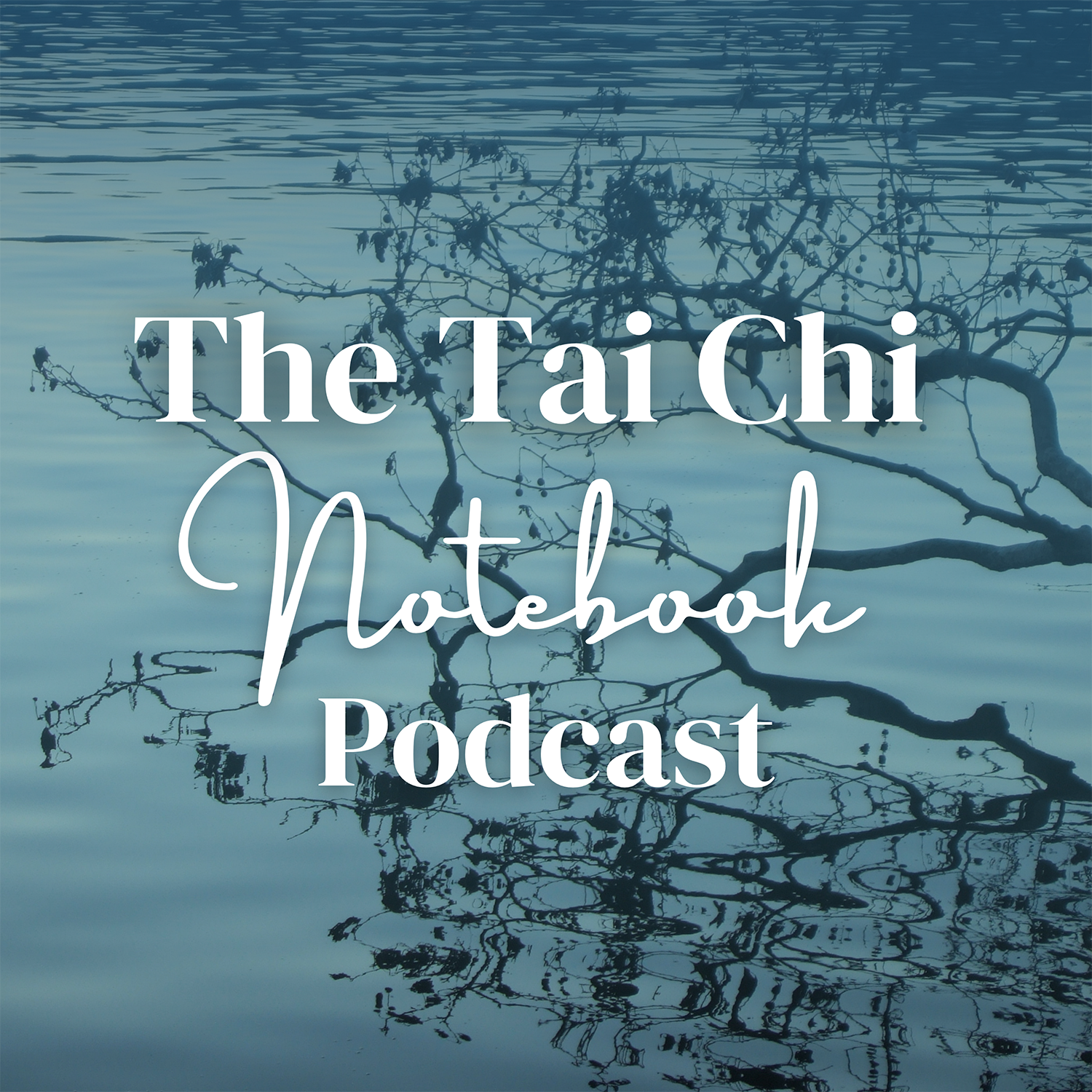 richard moon | The Tai Chi Notebook