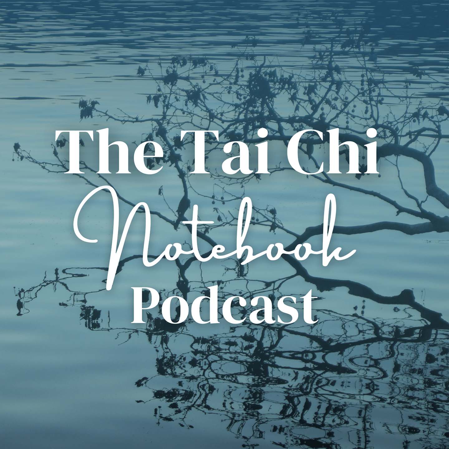 A simple exercise for opening and closing in Tai Chi | The Tai Chi Notebook
